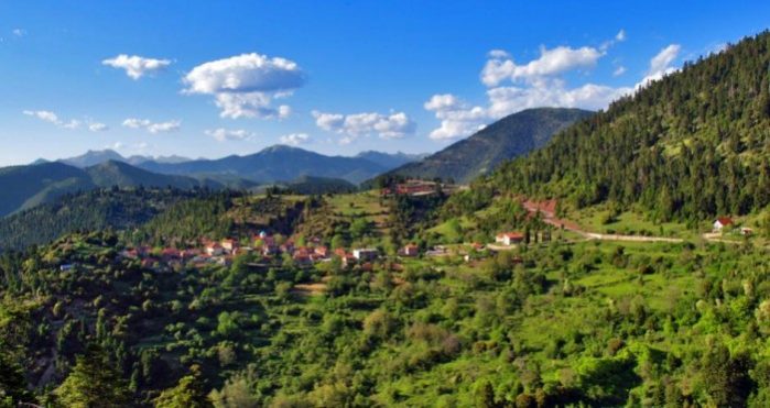 Vila Fidakia: Rodeada por Pinheiros e Flores Silvestres – Turismogrecia ...